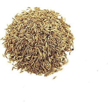 TANE KİMYON (KG) - Haşimiyzade